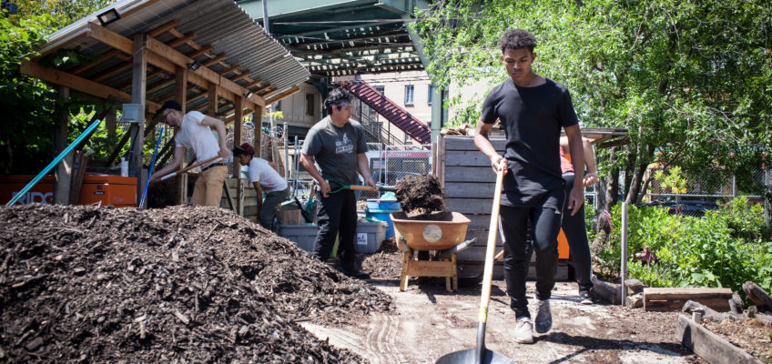 Want to learn how to compost or empower local community businesses ...