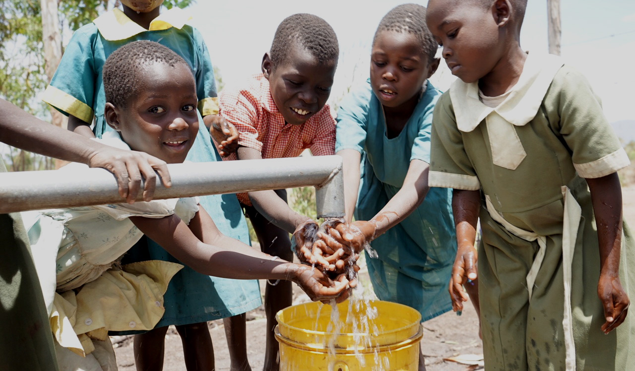 FairPlanet's Call-to-Action & Support Platform | FairPlanet